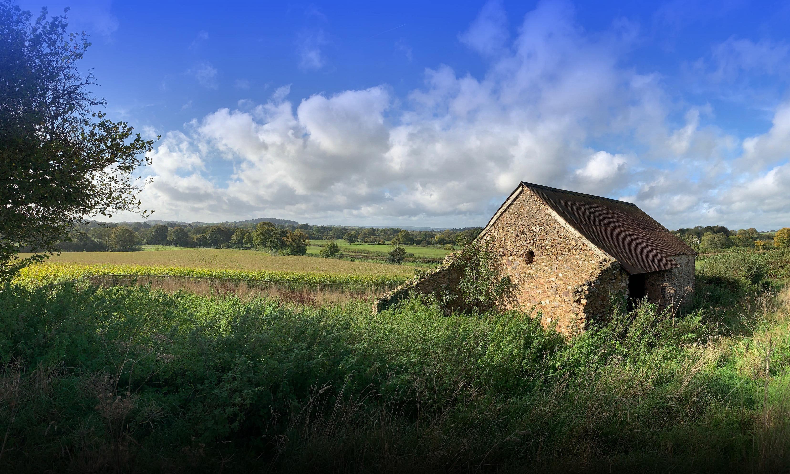 Uffculme - Barn At Prescott - KLP