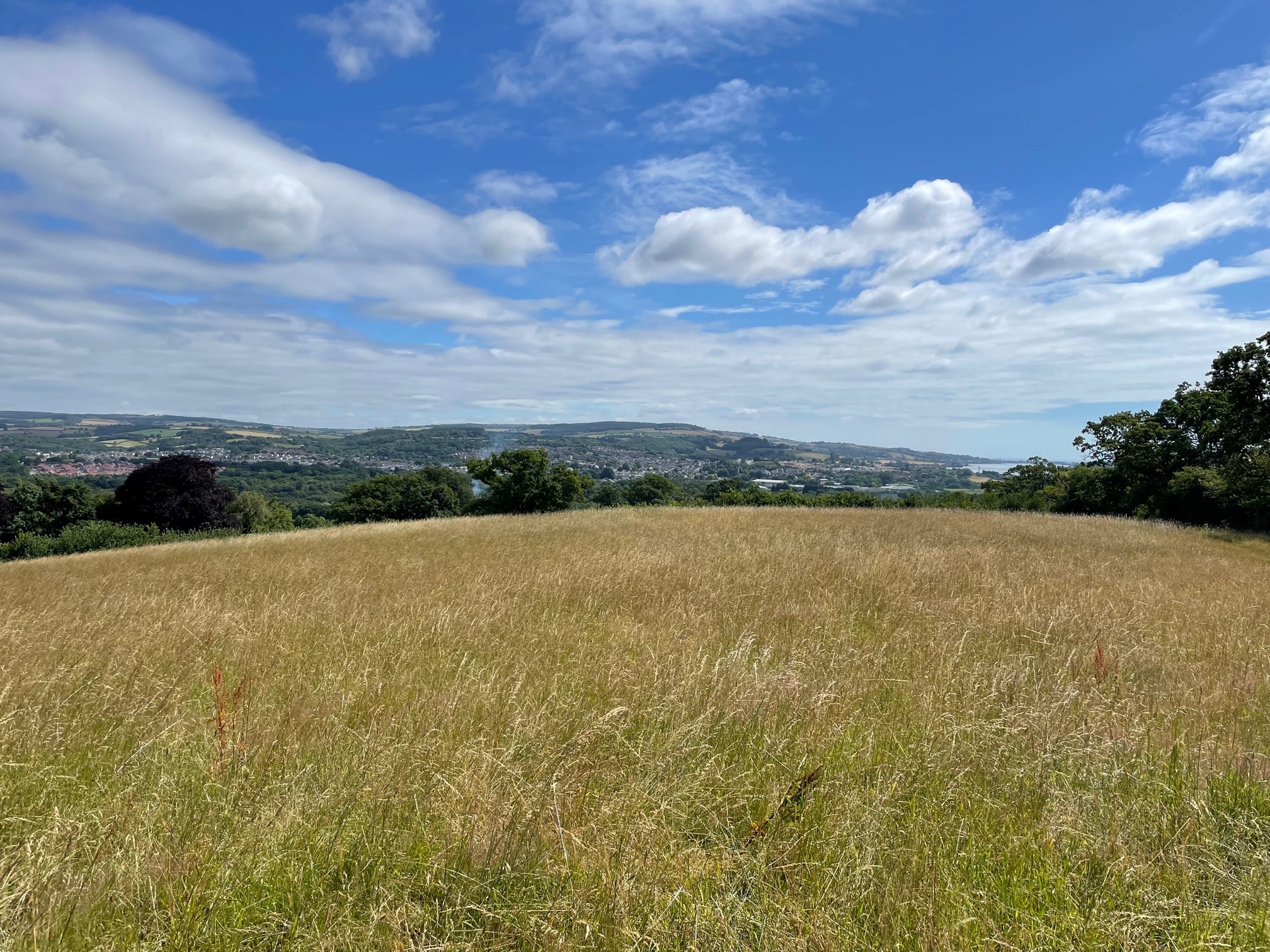 Highweek, Newton Abbot, Site For 5 - KLP