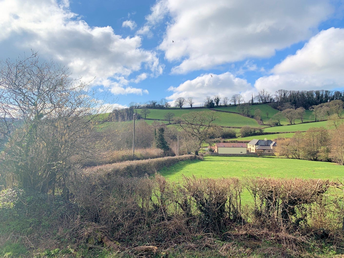 Awliscombe - Single Building Plot, Mill Lane - KLP